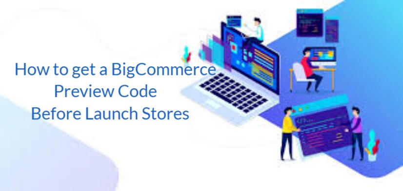 How To Find Your BigCommerce Preview Code